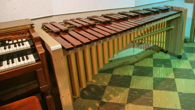 Top 8 Marimbas Reviewed: Professional to Beginner Options 2025 | Equipboard
