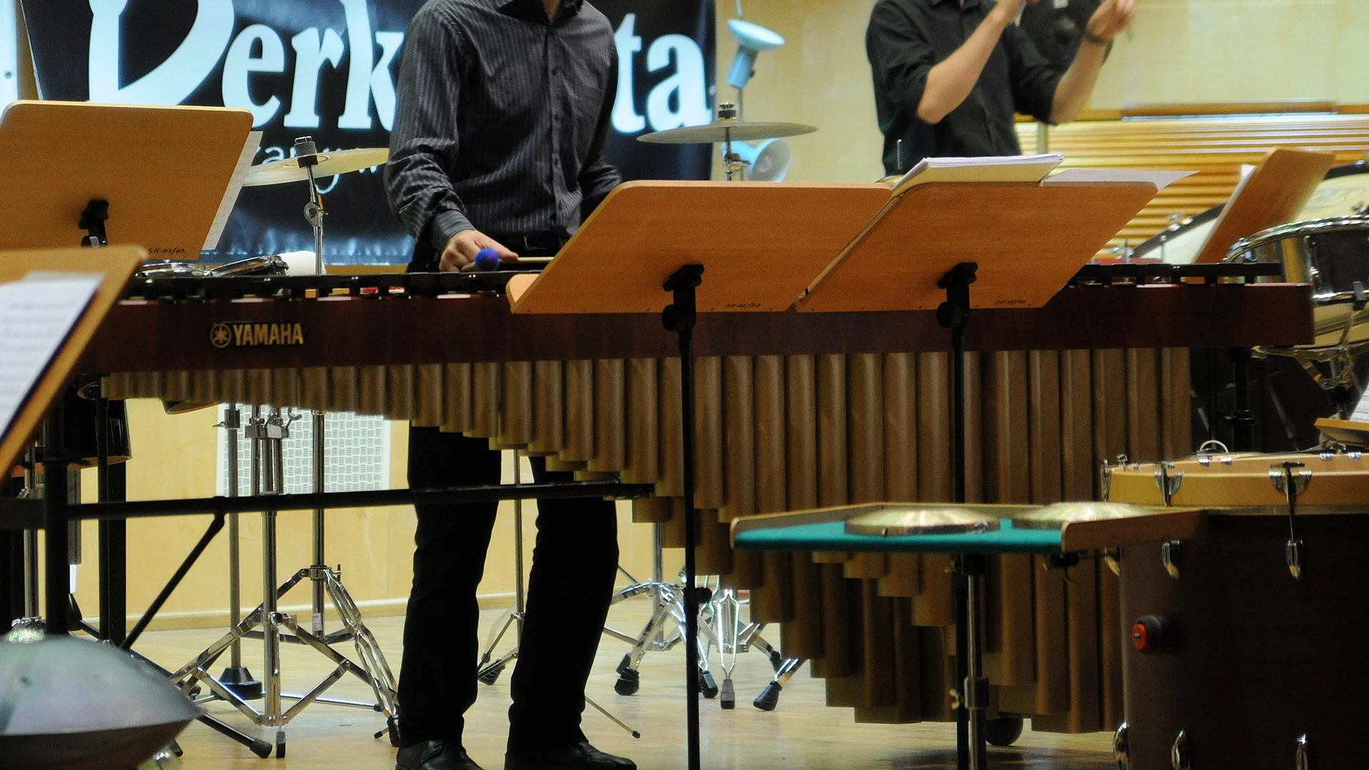 Marimba Top View