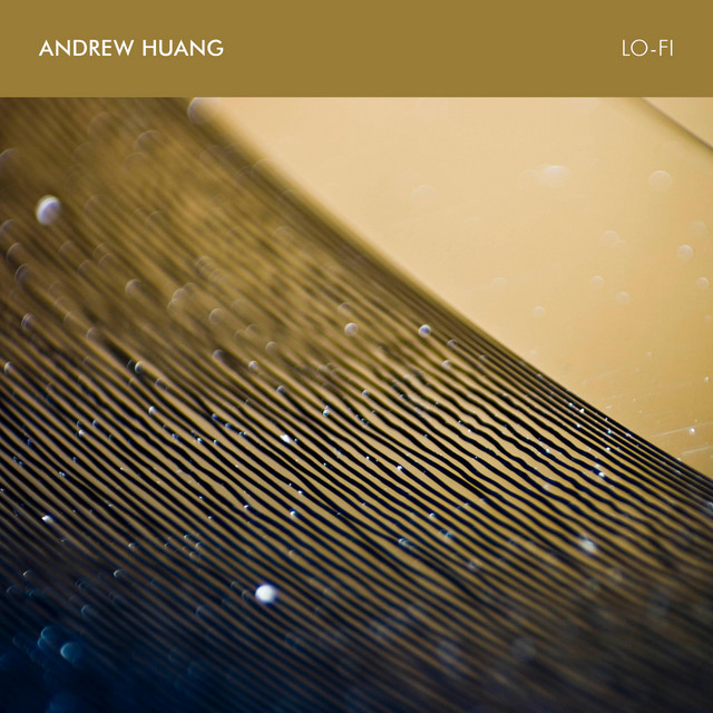 Andrew Huang – Lo-Fi - Gear & Equipment Used on the Album | Equipboard