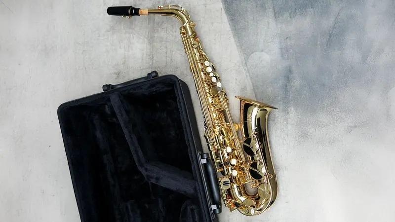 Best 6 Alto Saxophones: Beginner to Professional Models 2026 | Equipboard