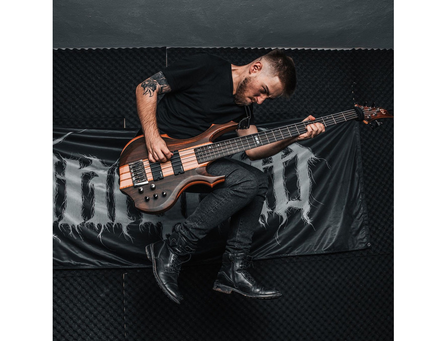 LTD ESP Ltd F-5E NS - What To Know & Where To Buy | Equipboard