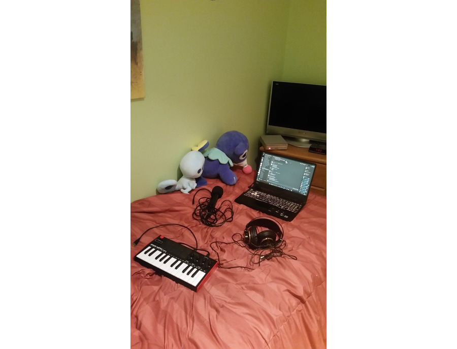Akai MPK Mini Laptop Production Keyboard - ranked #27 in MIDI Keyboard ...