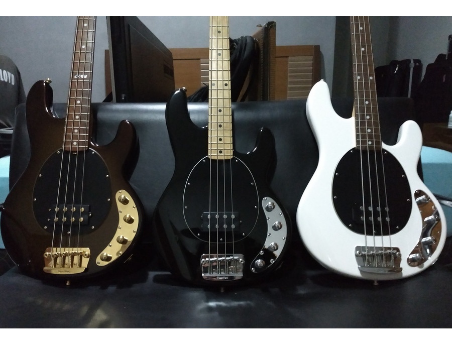 Music Man Stingray - What To Know & Where To Buy | Equipboard