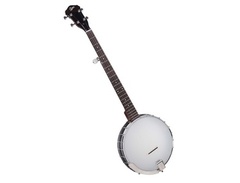 5 Best Banjos: How To Choose A Banjo 2024 | Equipboard