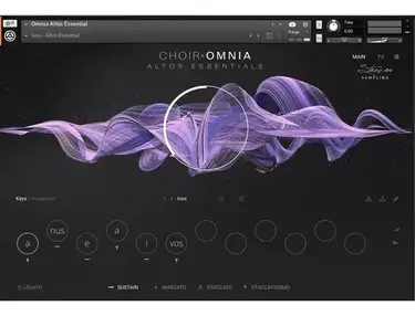 Native Instruments Session Guitarist Strummed Acoustic 2 Virtual ...