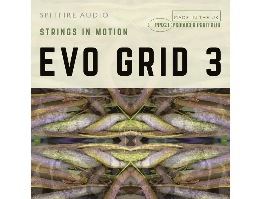 Spitfire Audio Evo Grid 3 String Library - What To Know & Where To Buy ...