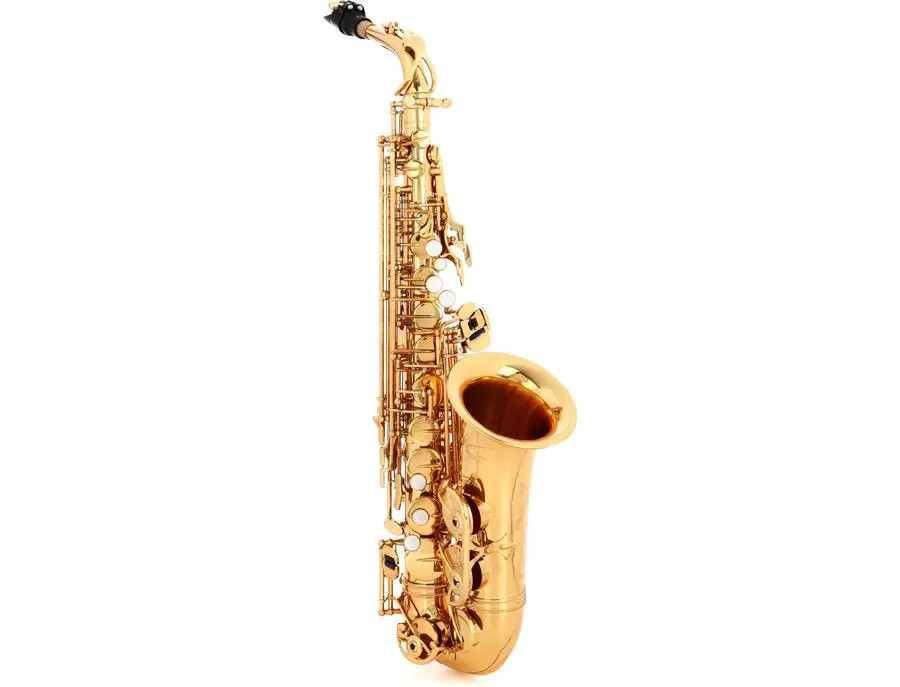 P. Mauriat PMSA-185 Intermediate Alto Saxophone - What To Know & Where ...
