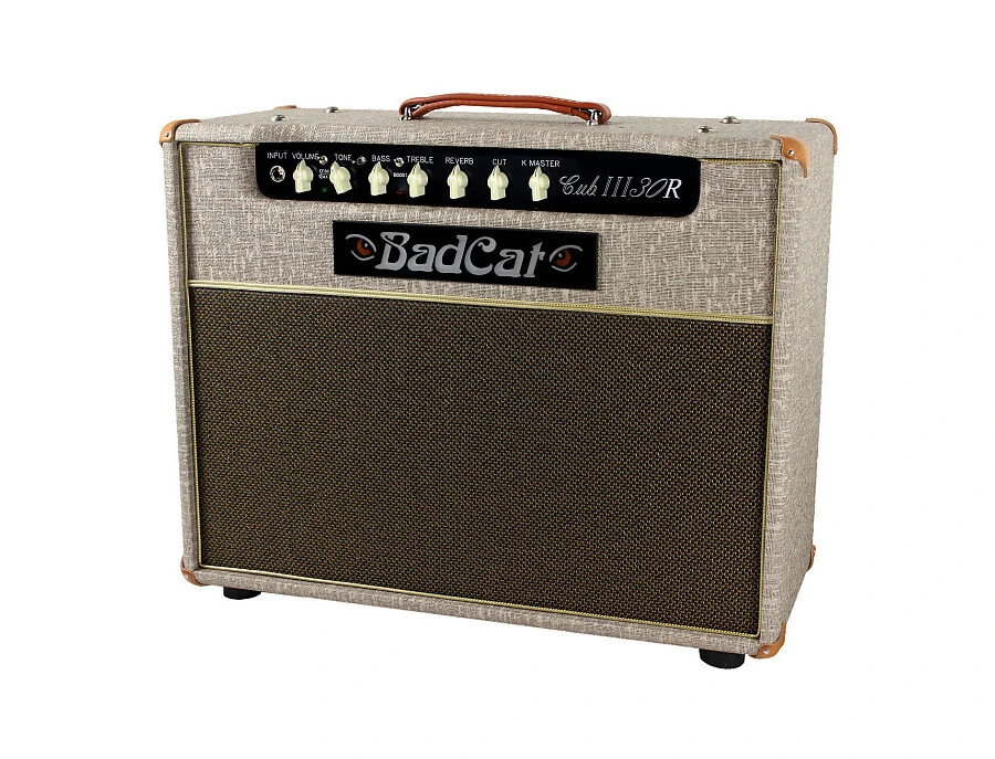 Bad Cat Cub III 30R 30-Watt 1x12" Guitar Combo with Reverb - What To ...
