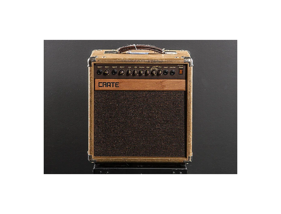 Crate CA30D 30-Watt 1x8" Acoutic Guitar Combo with DSP Effects - What ...