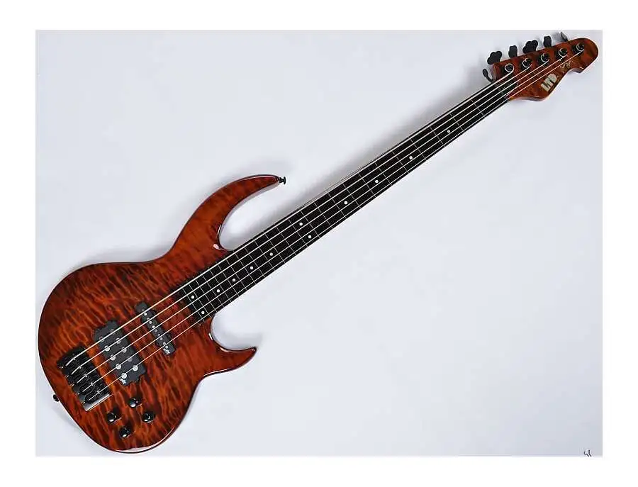 ESP LTD BB-1005FL Bunny Brunel Signature Fretless - What To Know ...