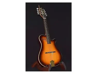 Epiphone Mandobird-VIII 8-String Electric Mandolin - What To Know ...