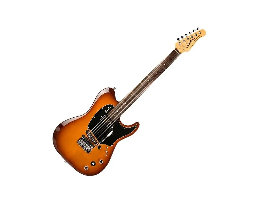 Godin Session Custom Tripleplay With Rosewood Fretboard - What To Know ...
