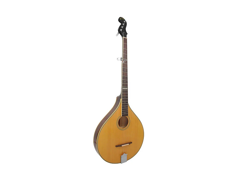 Gold Tone 5-String Banjola w/ Floating Bridge - What To Know & Where To ...