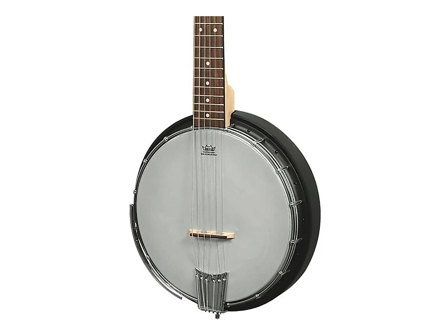 Gold Tone AC-6+ 6-String Acoustic-Electric Banjo - What To Know & Where ...