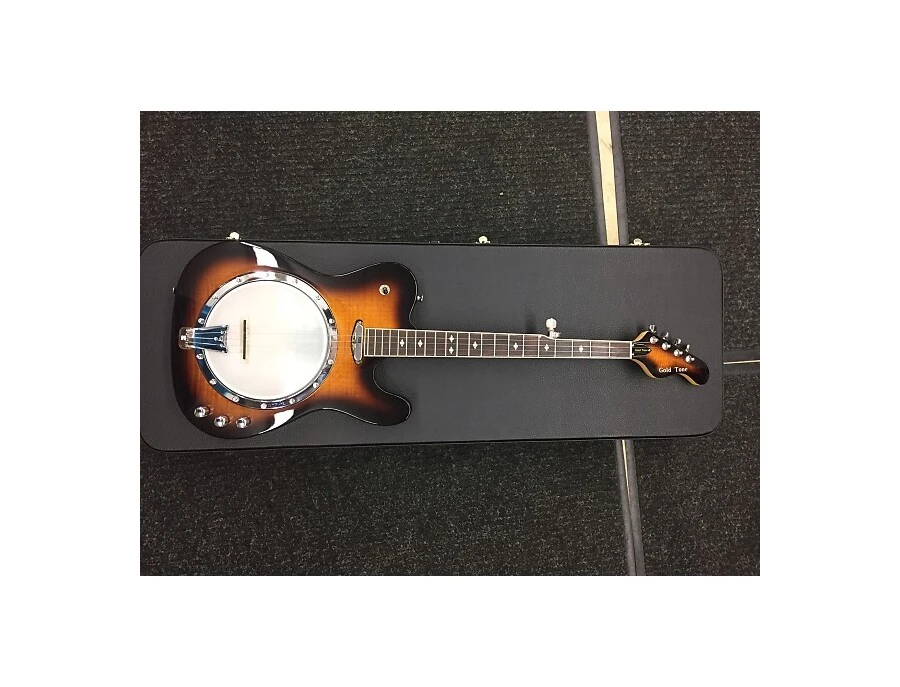Gold Tone EBT 5-String Electric Banjo - What To Know & Where To Buy ...
