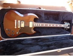 Brad Delson's Guitar Gear | Equipboard®