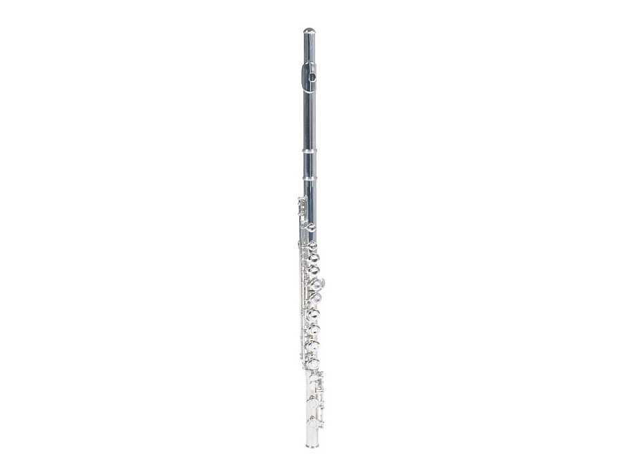 Lauren LFL100 Student C Flute Outfit w/ Case - What To Know & Where To ...