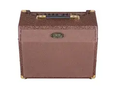 Luna Acoustic Ambience 25W Guitar Amplifier - What To Know & Where To ...