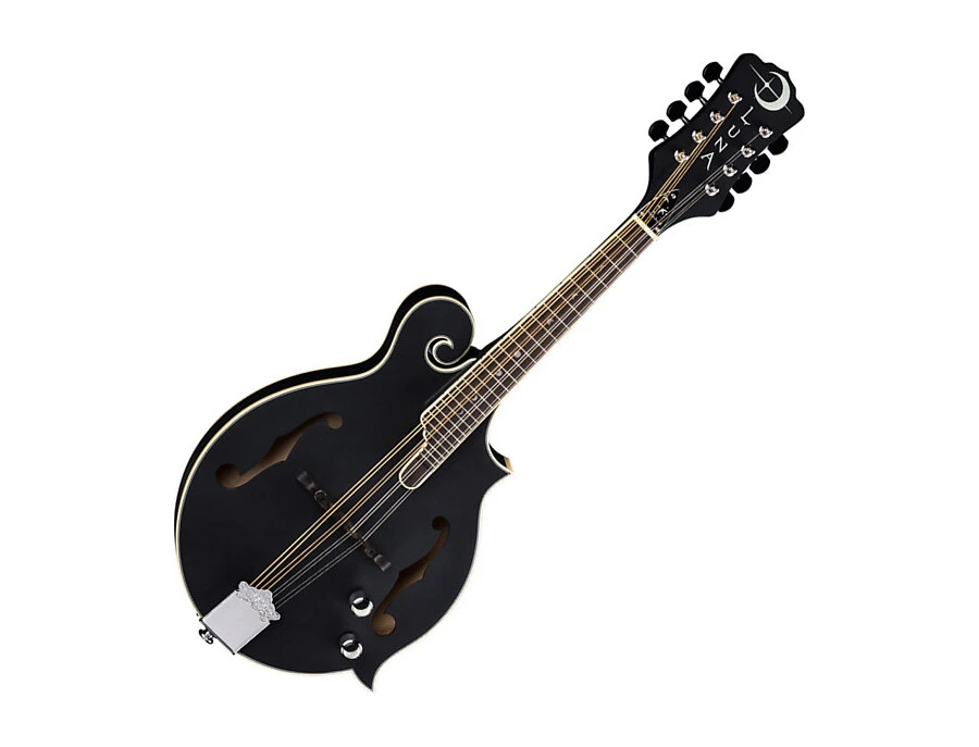 Luna BGM MOON F Moonbird F-Style Mandolin with Electronics - What To ...