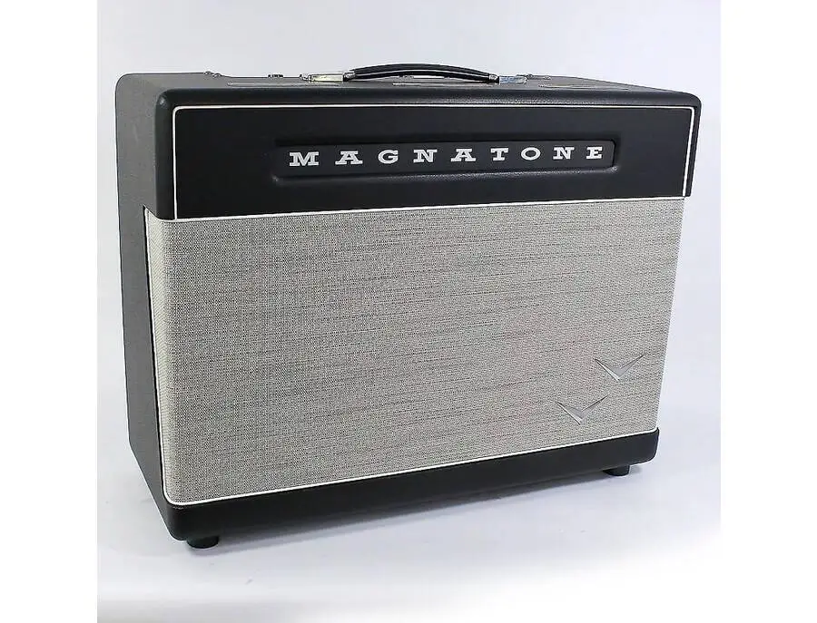 Magnatone Super Thirty 15+15-Watt 2x12" Guitar Combo - What To Know ...