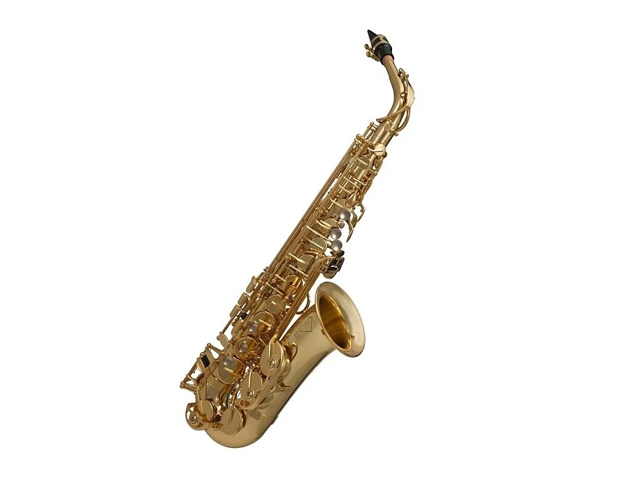 Ravel RGA202 Student Alto Sax - What To Know & Where To Buy | Equipboard
