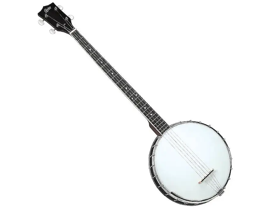 Rover RB-20P Student 4-String Plectrum Banjo - What To Know & Where To ...