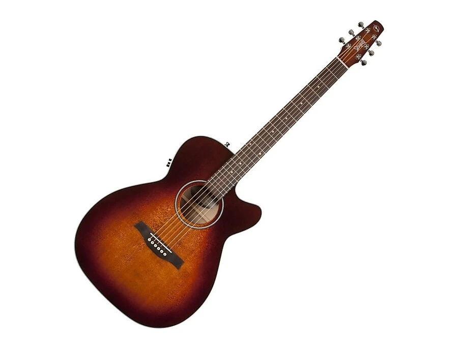 Seagull Performer Concert Hall CW QIT - What To Know & Where To Buy ...