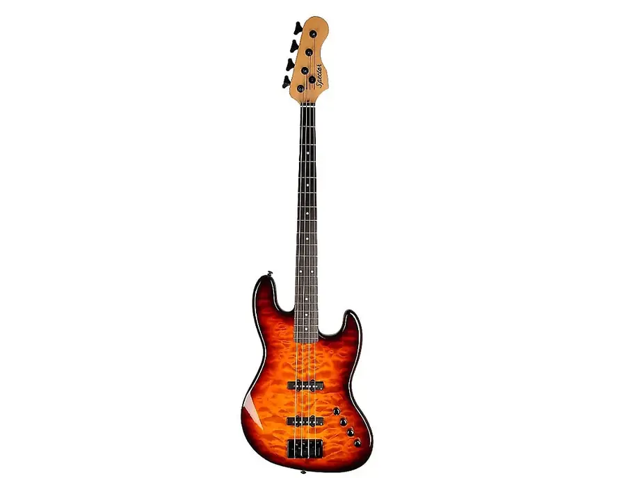 Spector Coda 4 Pro - What To Know & Where To Buy | Equipboard