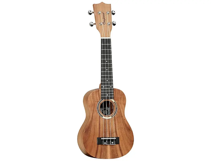 Tanglewood TWT-7 Tiare Soprano Ukulele - What To Know & Where To Buy ...