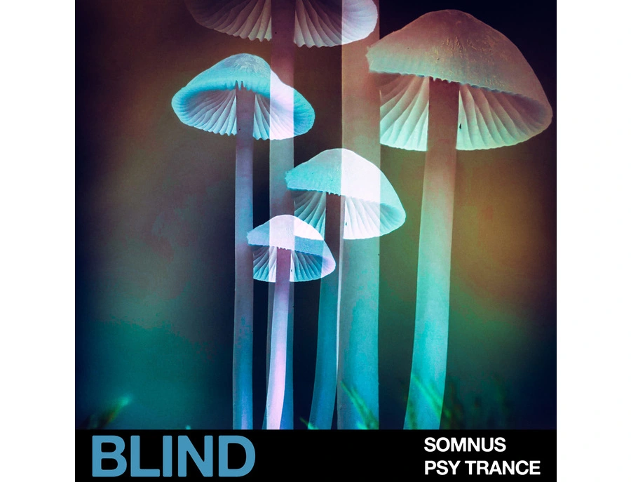 Blind Audio Somnus â Psy Trance - What To Know & Where To Buy | Equipboard