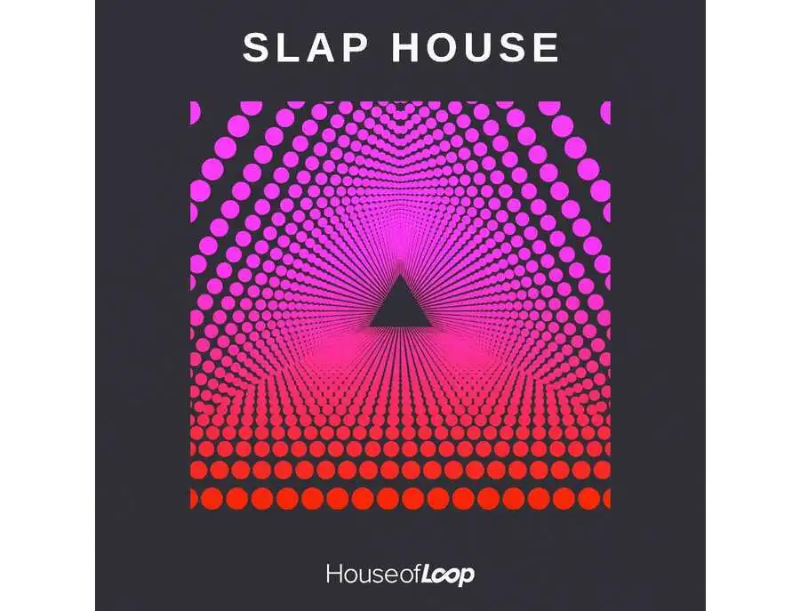 House Of Loop - Slap House - What To Know & Where To Buy | Equipboard