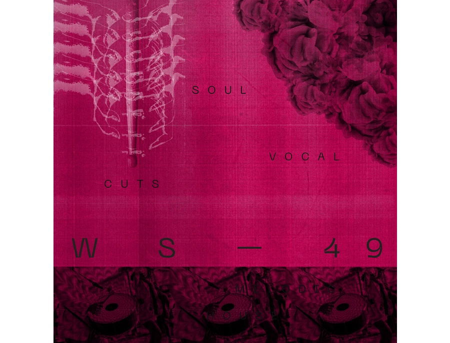 Wavetick Soul Vocal Cuts - What To Know & Where To Buy | Equipboard