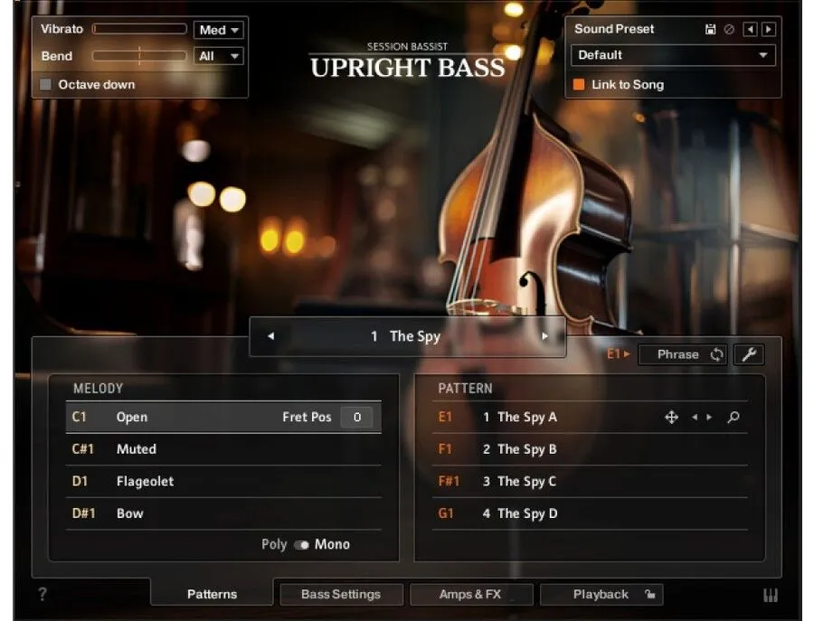 Native Instruments Session Bassist - Upright Bass - What To Know ...