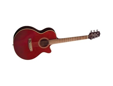 Takamine EF325SRC Acoustic Guitar - Artists Using It | Equipboard