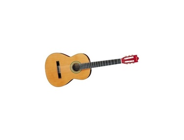 Ibanez SC500N - Artists Using It | Equipboard