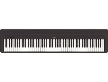 Korg SP-100 88-Key Digital Piano - Artists Using It | Equipboard