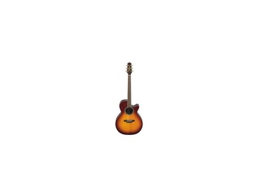 Takamine EF325SRC Acoustic Guitar - Artists Using It | Equipboard