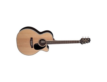 Takamine EF325SRC Acoustic Guitar - Artists Using It | Equipboard