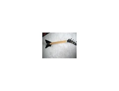 Dana Strum | Equipboard®