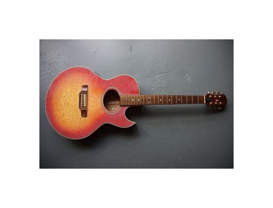 Epiphone PR7E Acoustic - Artists Using It | Equipboard