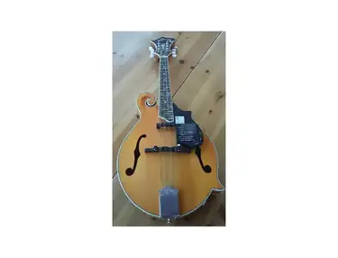 Epiphone Mandobird-VIII 8-String Electric Mandolin - What To Know ...