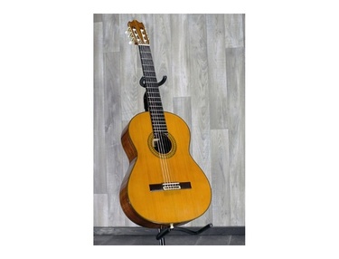 Ibanez SC500N - Artists Using It | Equipboard