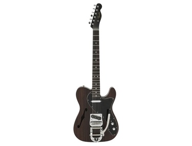 Fender Custom Shop White Chicken Thinline Telecaster - Artists Using It ...
