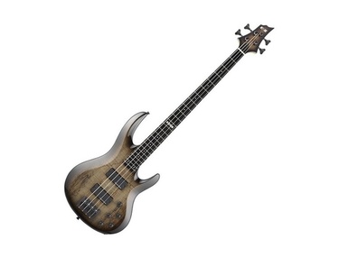 ESP Horizon II 5 string Bass - Artists Using It | Equipboard