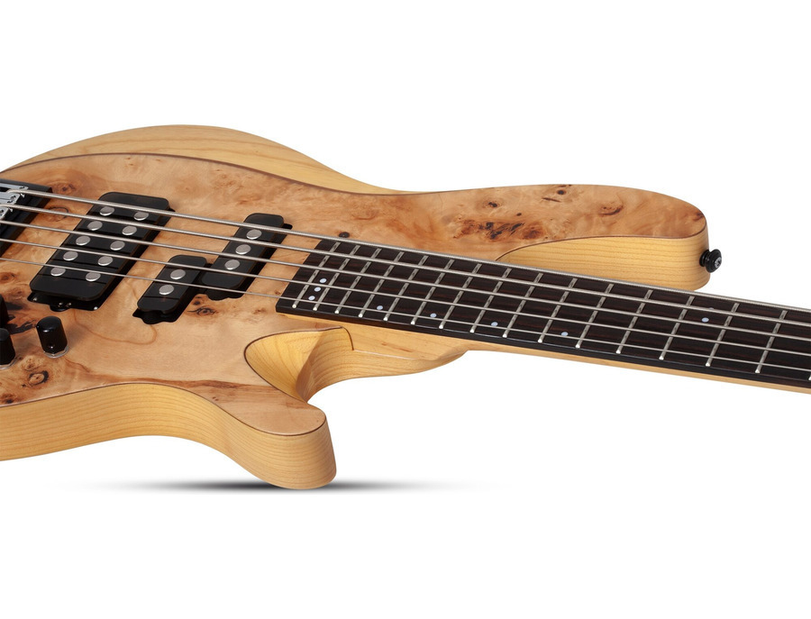 Schecter Reaper-5 5-string Bass Guitar - What To Know & Where To Buy ...