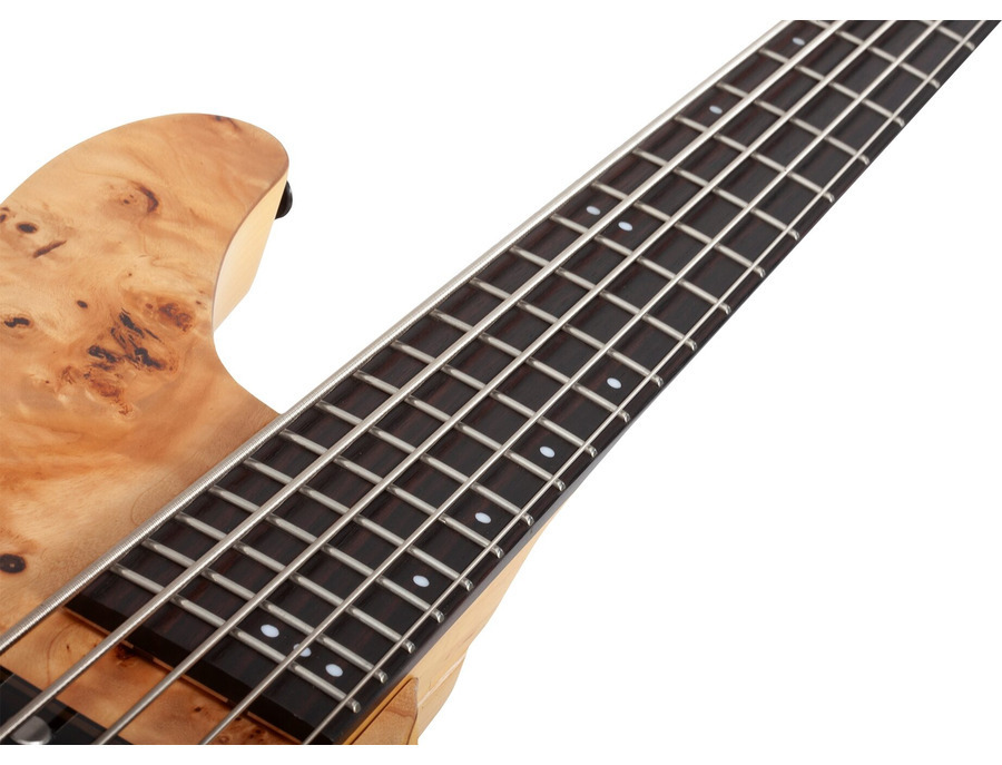 Schecter Reaper-5 5-string Bass Guitar - What To Know & Where To Buy ...