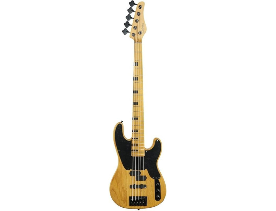 Schecter Model-T Session - What To Know & Where To Buy | Equipboard