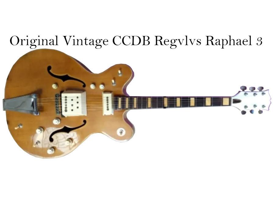 Tim Bernardes's Custom Modified Regvlvs Raphael Guitar - What To Know ...
