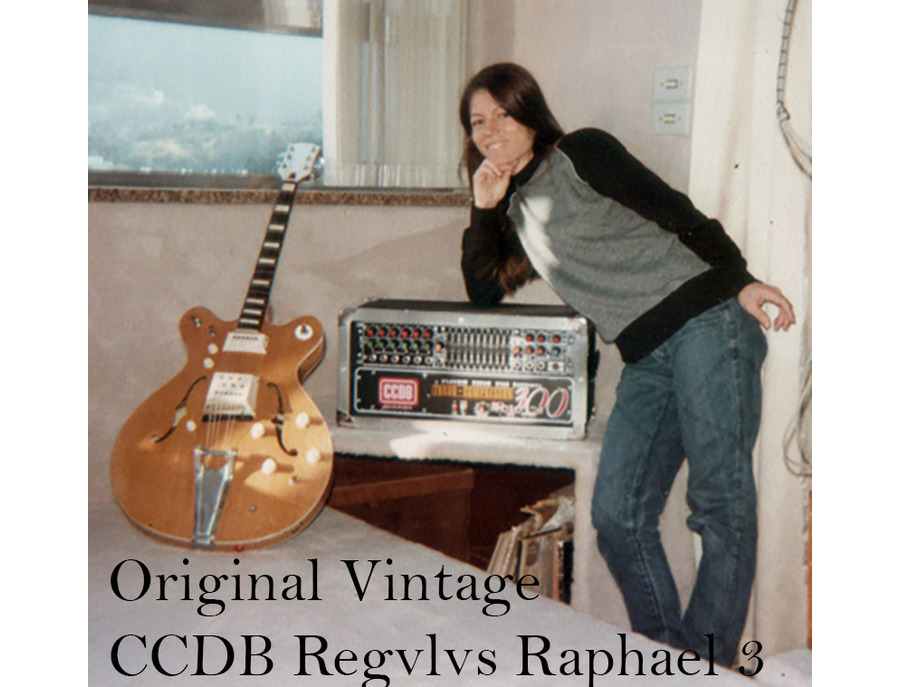 Tim Bernardes's Custom Modified Regvlvs Raphael Guitar - What To Know ...