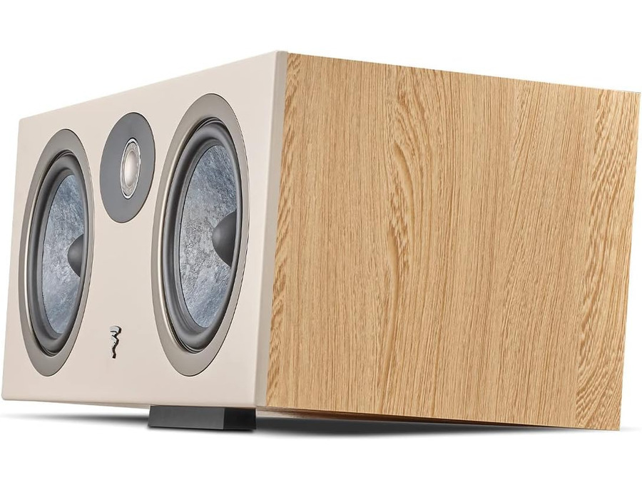 Focal Theva Center 6.5-inch Passive Loudspeaker - What To Know & Where ...